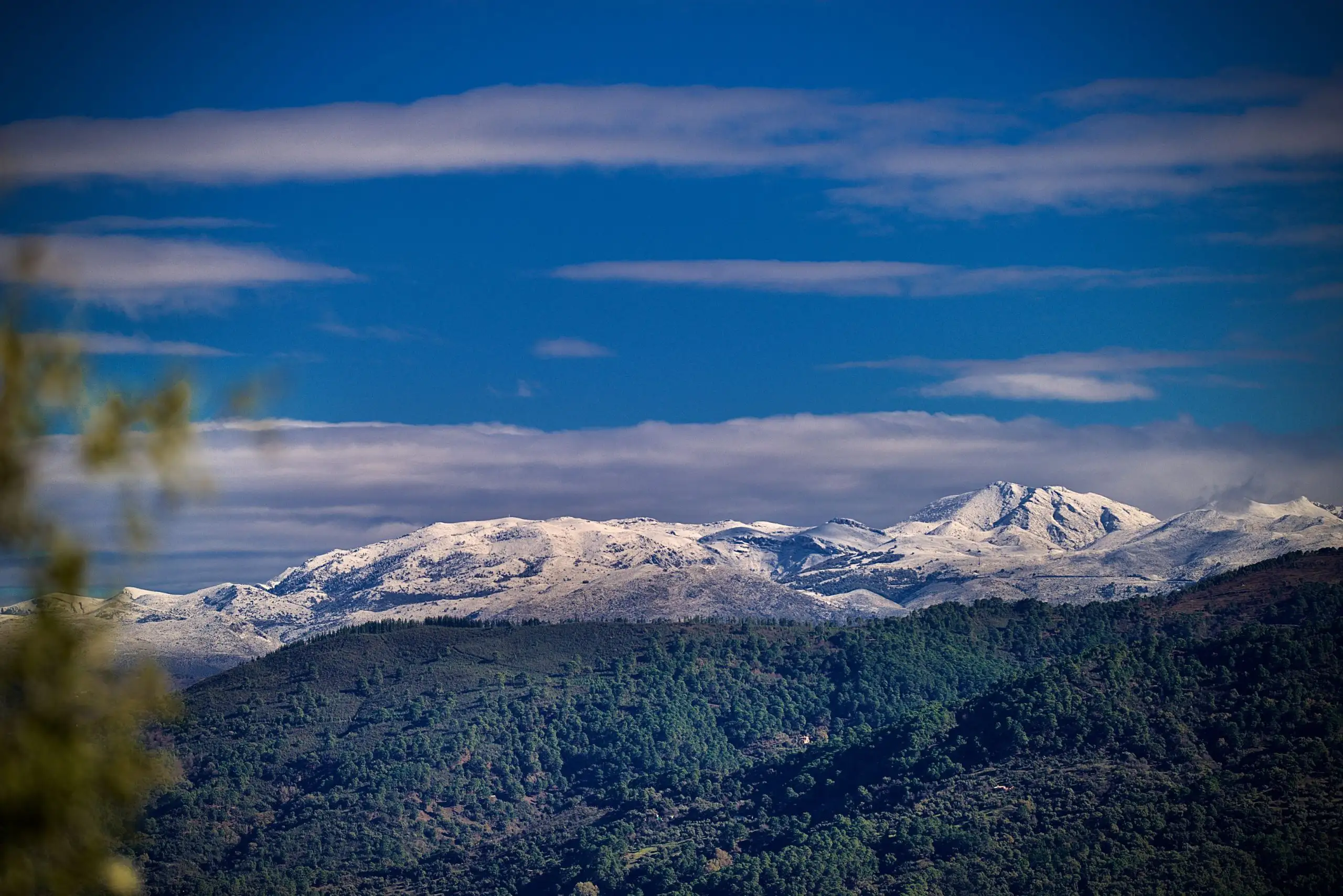 Absolute Being - On the realisation of existence - Settings